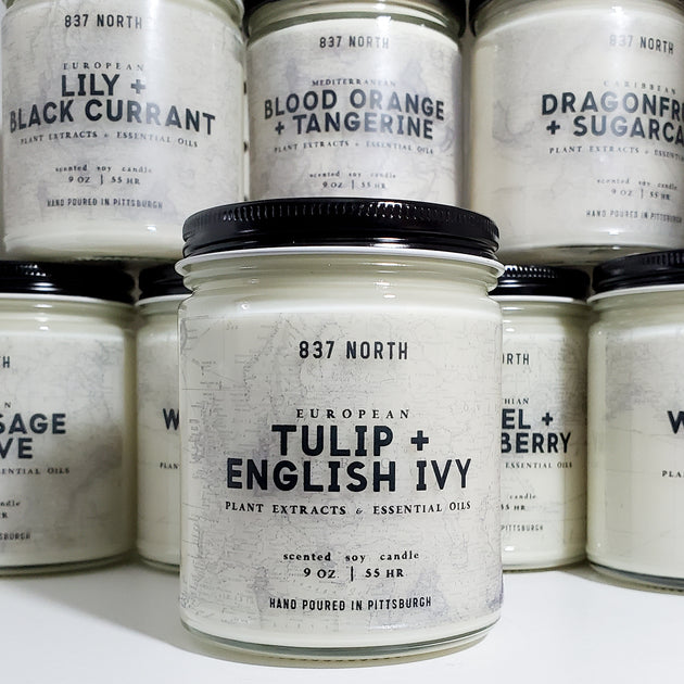 Tulip + English Ivy, 9 oz. Soy Candle – 837 North